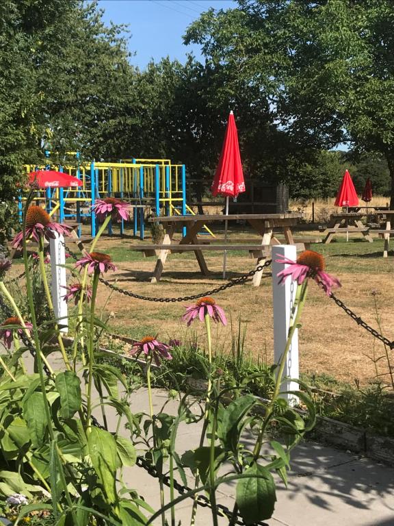 The Penruddocke Arms in Dinton - Welcome